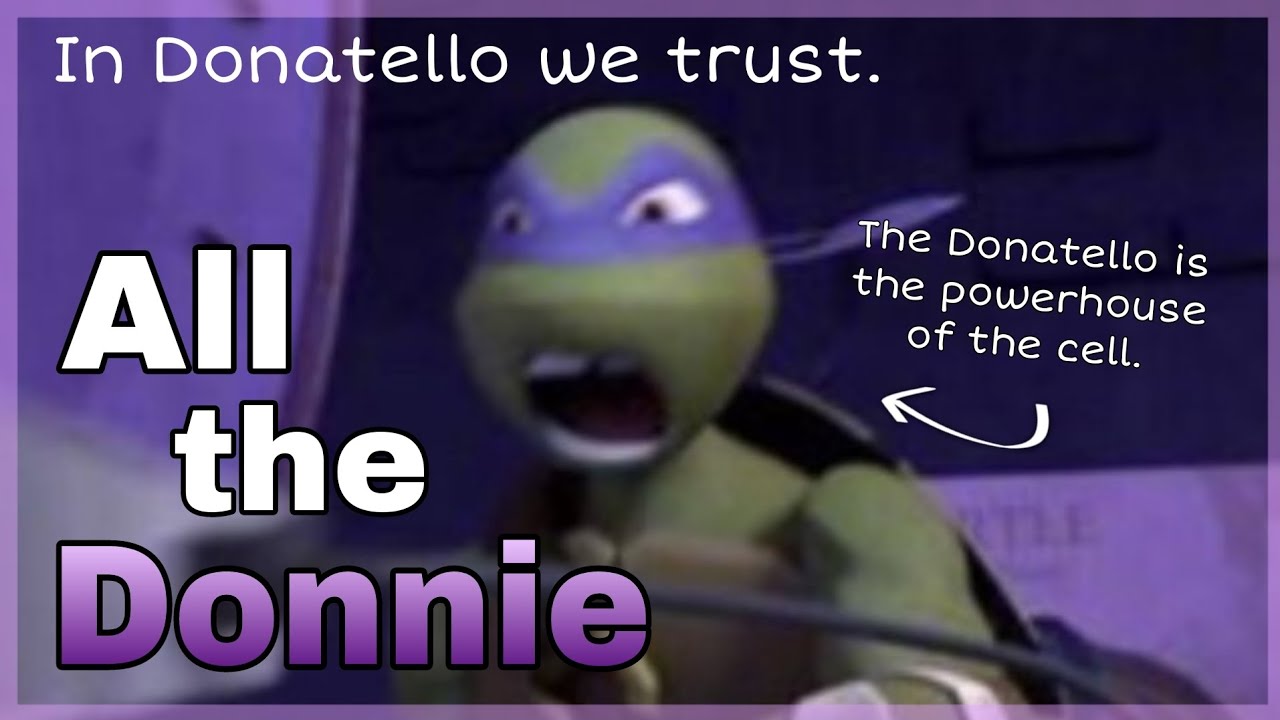 All the Donnie - YouTube