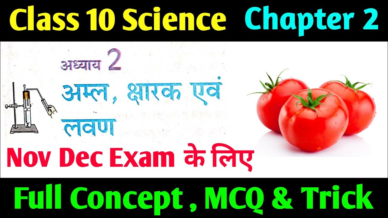 Class 10 Science Chapter 2 | Class 10 Science Chapter 2 MCQ 2022 - YouTube