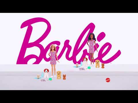 Barbie Lalka Opiekunka piesków + zestaw FXH08