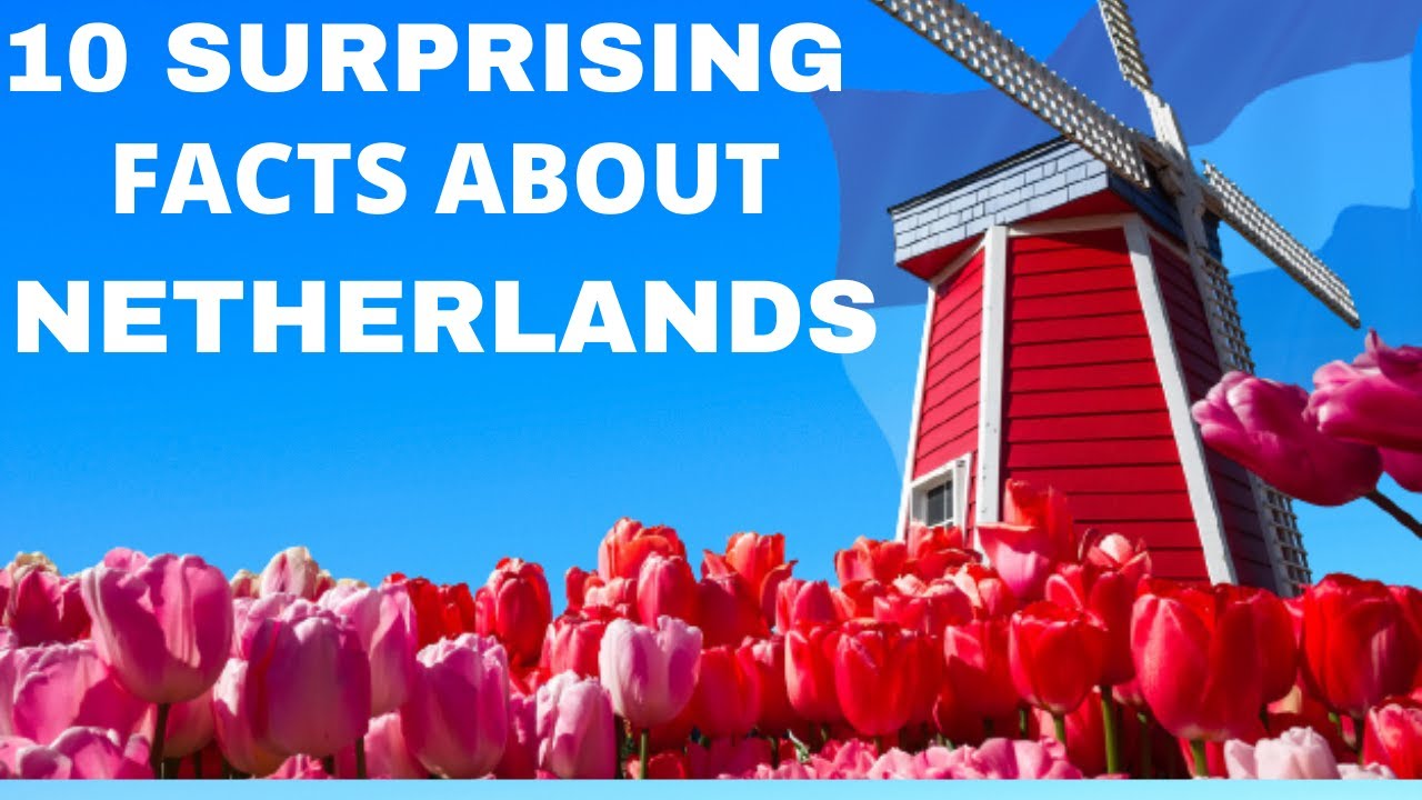 10 SURPRISING FACT ABOUT NETHERLANDS - 10 Things You Didn't Know About ...