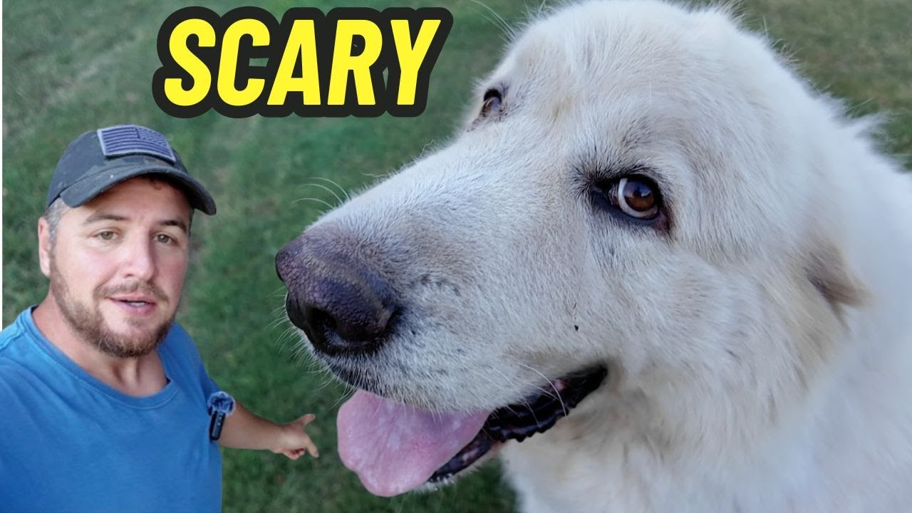 Home - Hidden Heights Farm