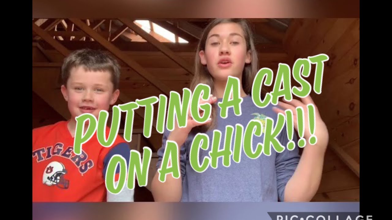 How To Fix A Chick’s Bent Toe | Chicken Cast! - YouTube