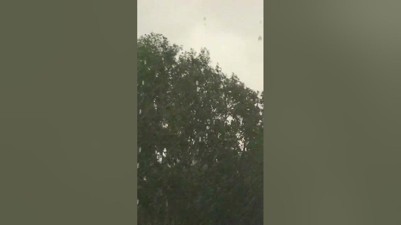 The Sound Of Rain Deep Sleep Meditation Autogenc Training Relaxing