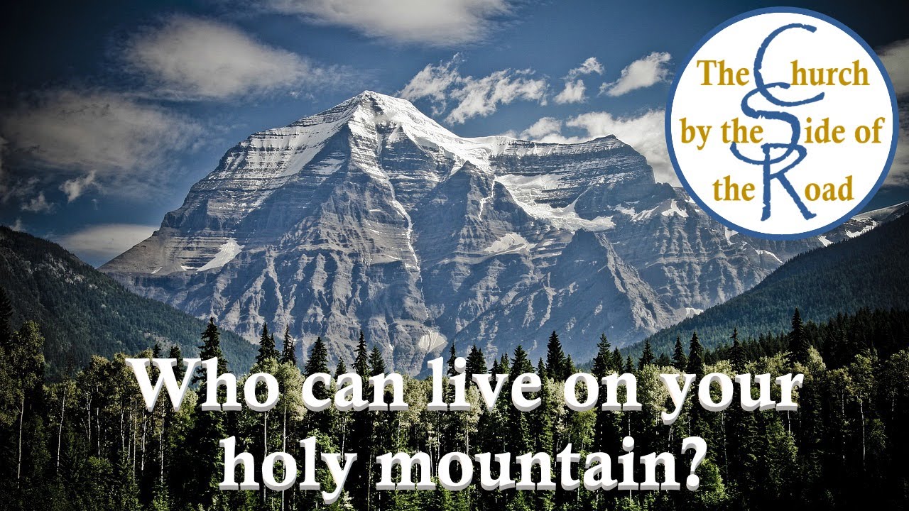 Psalms & Proverbs Day 3: Psalms 11-15 & Proverbs 3 - YouTube