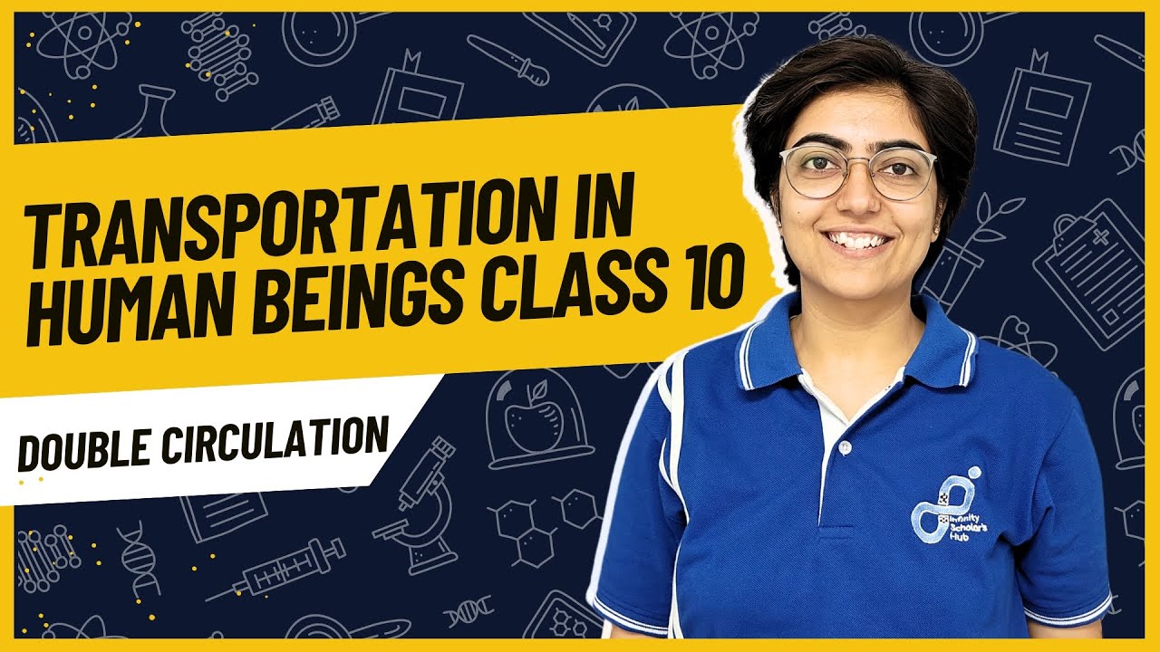 Life Processes-Transportation in human beings-Double circulation - YouTube