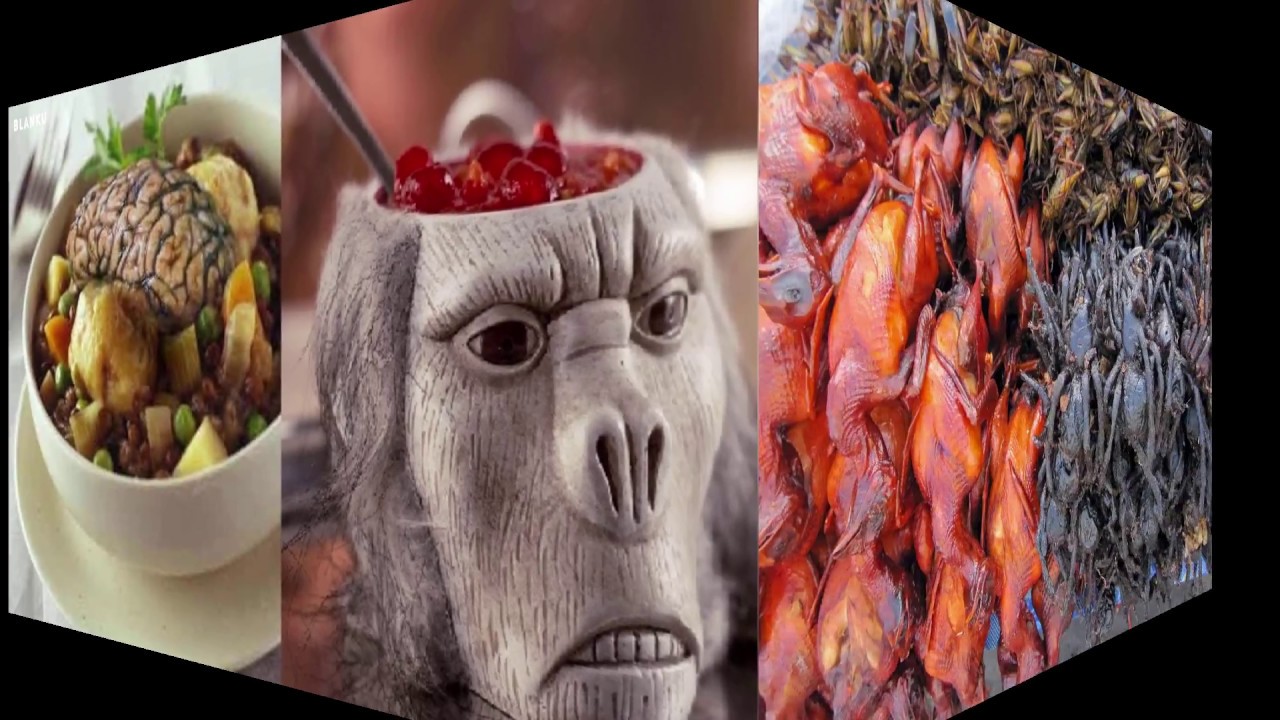 MOST BIZARRE FOODS IN THE WORLD - YouTube