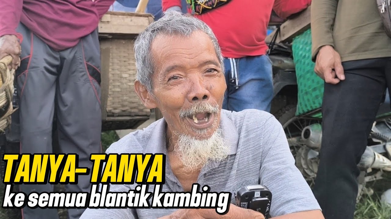 tanya-tanya ke semu blantik kambing, apa jawaban mereka semua? yuk simak video ini - YouTube