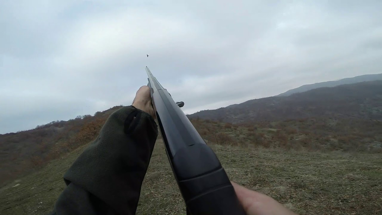 κυνηγι φασσας για κλεισιμο. Wood pigeon hunting 2017 2018 - YouTube