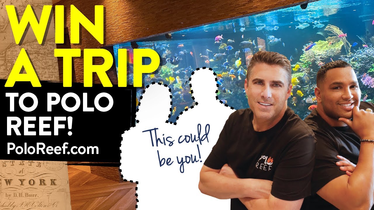 YOU could win a Trip & Private tour at Polo Reef! - YouTube
