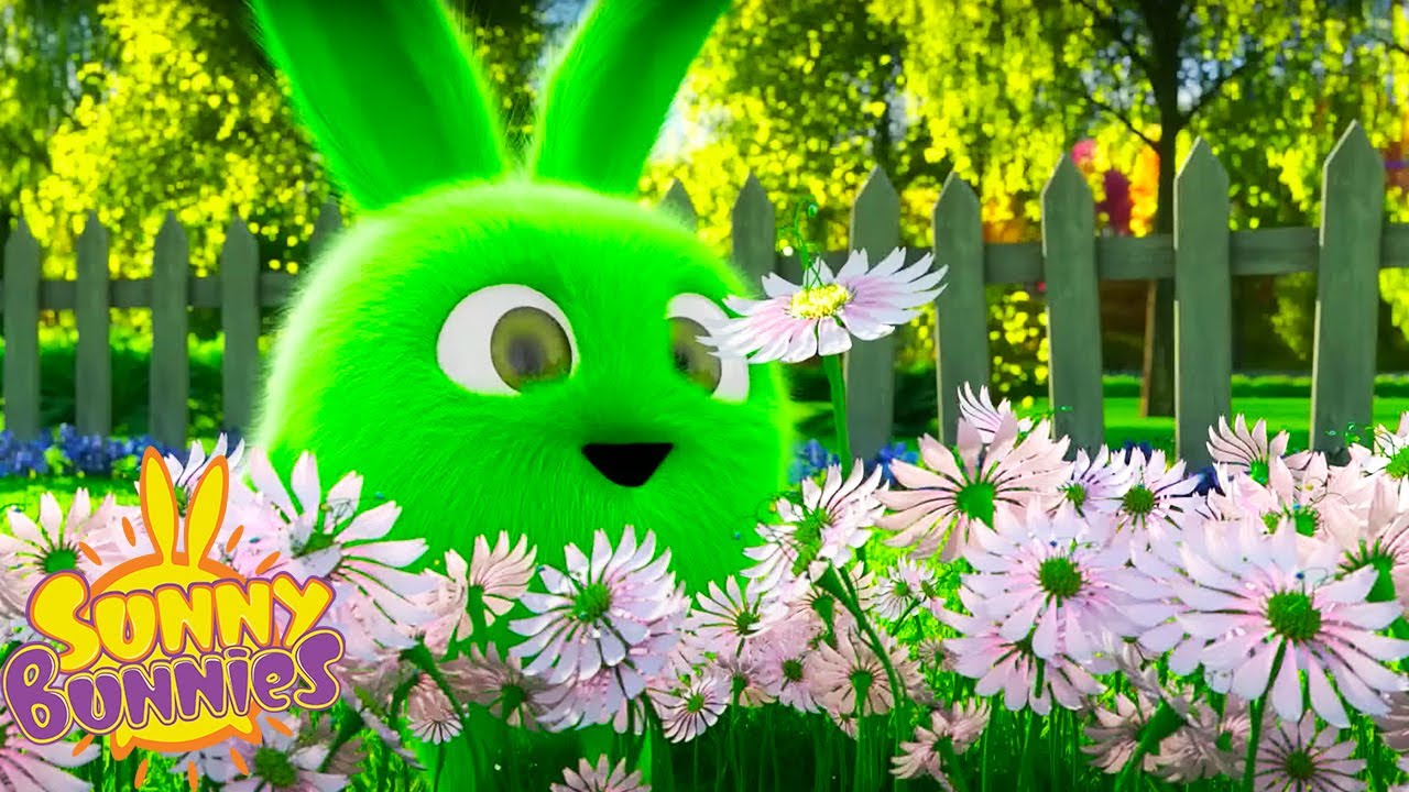 SUNNY BUNNIES - Spring Flowers | Season 5 | Cartoons for Children - YouTube