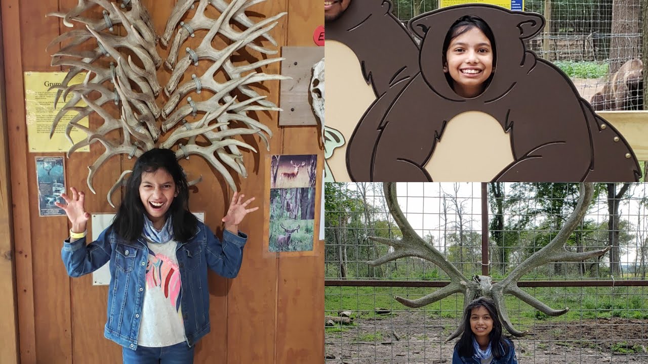 My Visit To Shalom Wildlife Zoo YouTube my-visit-to-shalom-wildlife-zoo-youtube