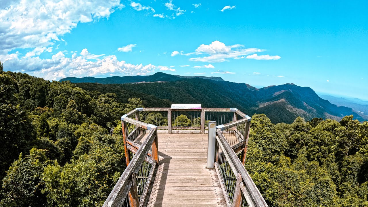 Bellingen Showgrounds Camping, Dorrigo Waterfalls and Rainforest Centre ...