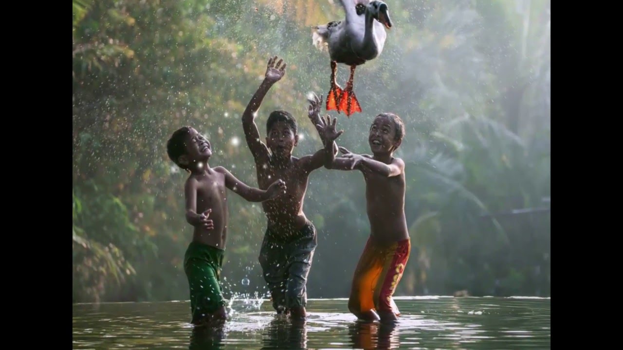 Kids and their nature ( animated still photography) - YouTube