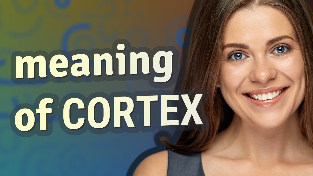Cortex | meaning of Cortex - YouTube