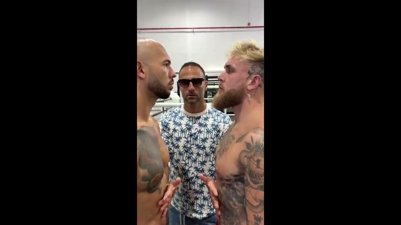 Jake Paul Vs Andrew Tate FACE OFF!! - YouTube