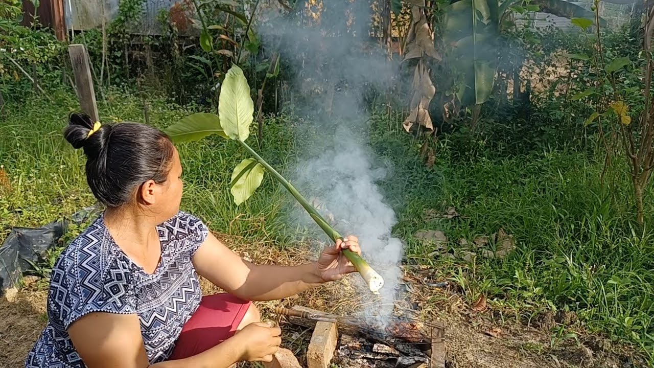 Ikan haruan bakar campur umbut kecala/upa bunga kantan tersangat sedap ...