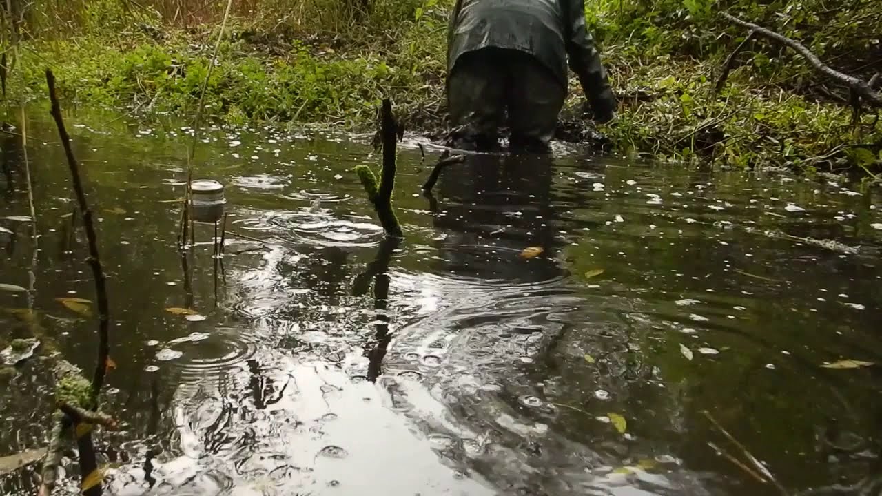 waders in muddy water - YouTube