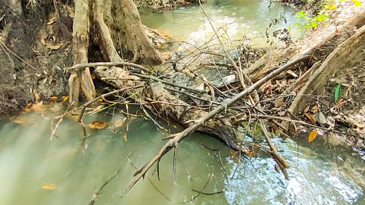Removing Woods Clogged Canal - Unclogging Canal Drain Water - YouTube