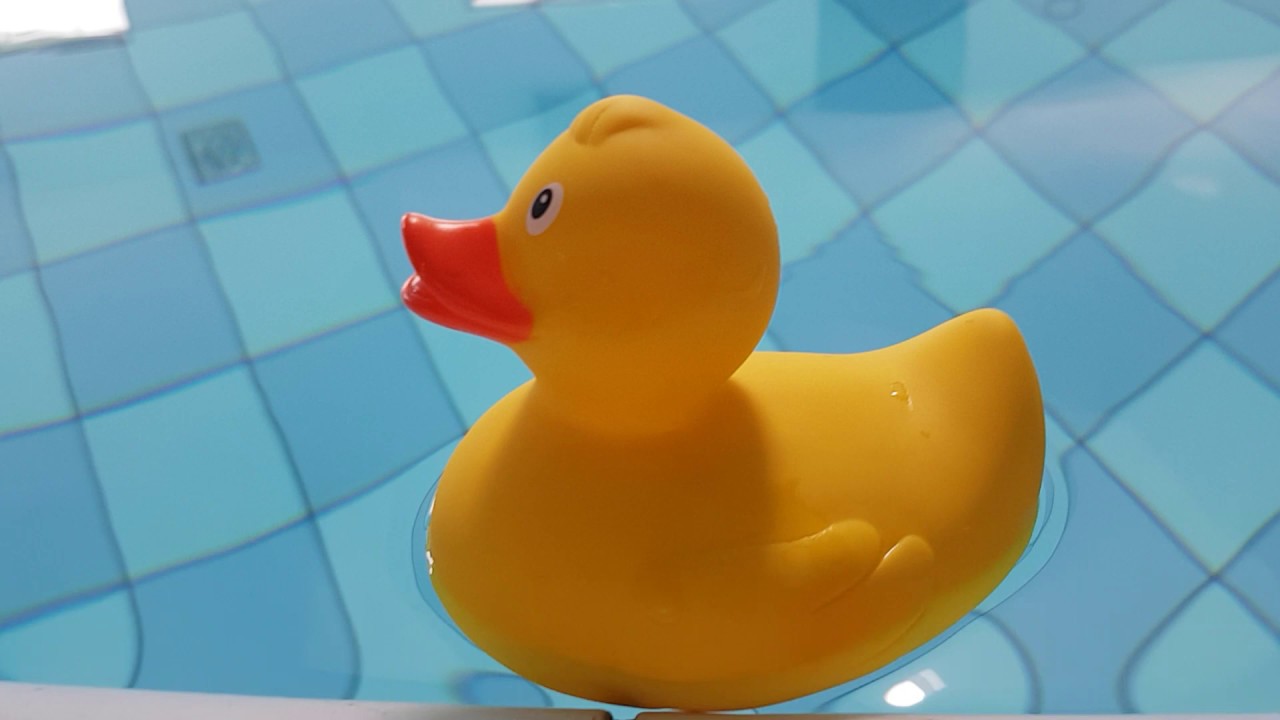 [LOUD] Quack source - YouTube