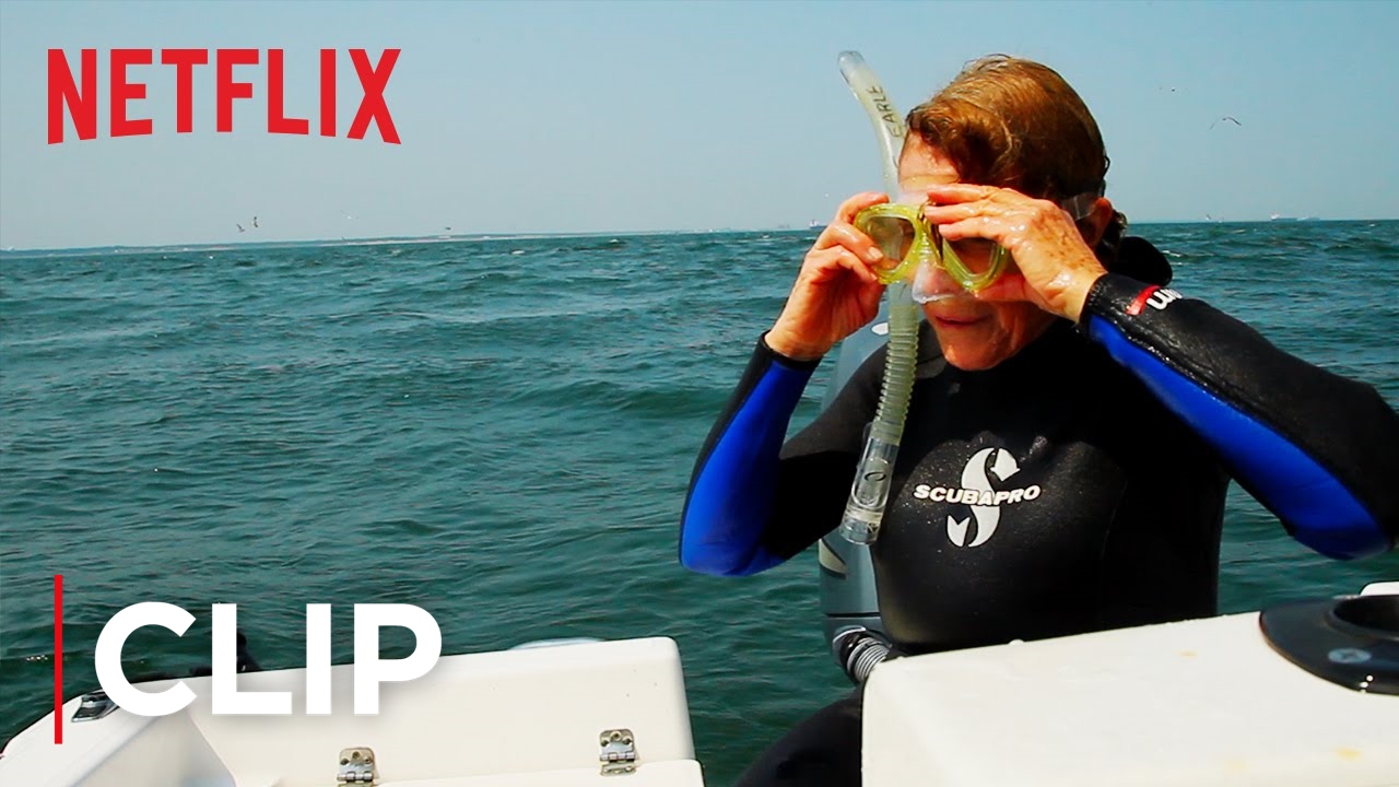 Mission Blue | Clip - Hope Spots [HD] | Netflix - YouTube