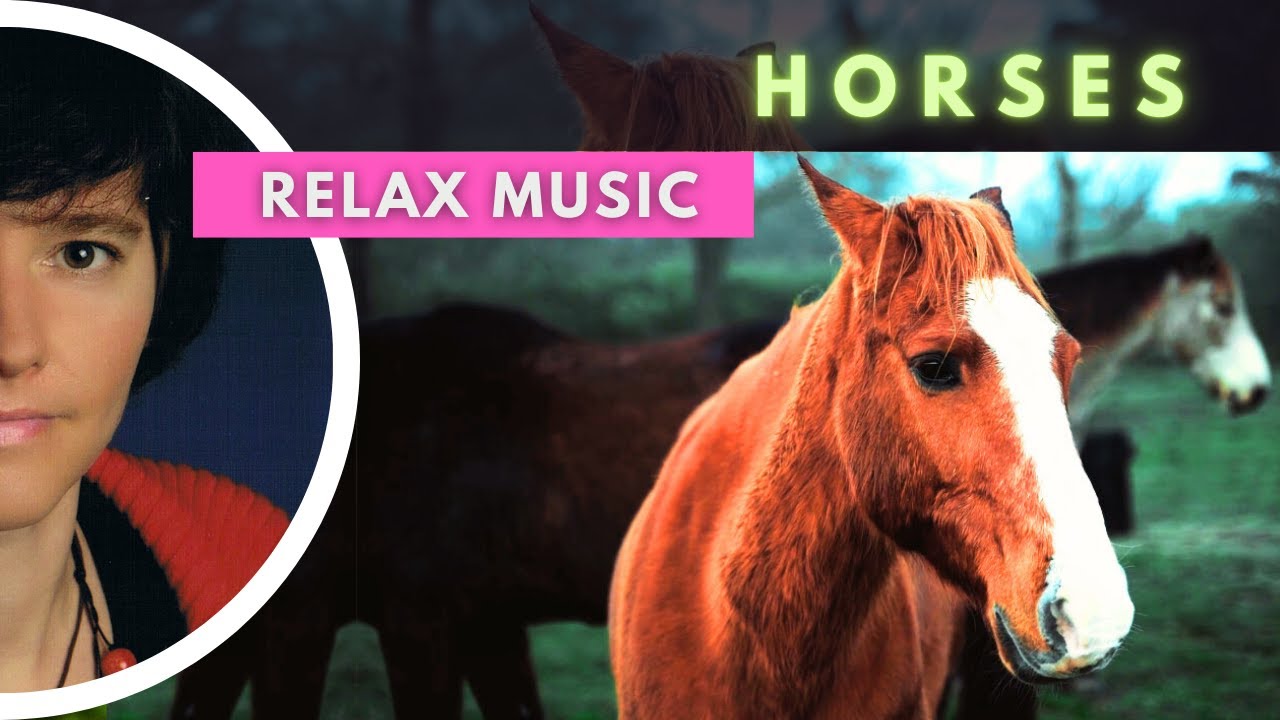 Relax Music - Horses / Muzyka Relaksacyjna - Konie 🐴💖 - YouTube