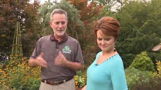 Springhouse Gardens - Fall Maintenance