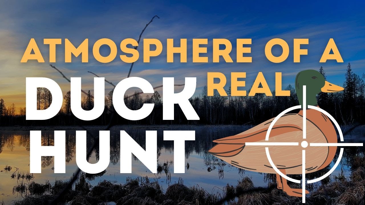 Atmosphere of a real duck hunt | A Missed Shot at Dawn | Duck Hunt ...