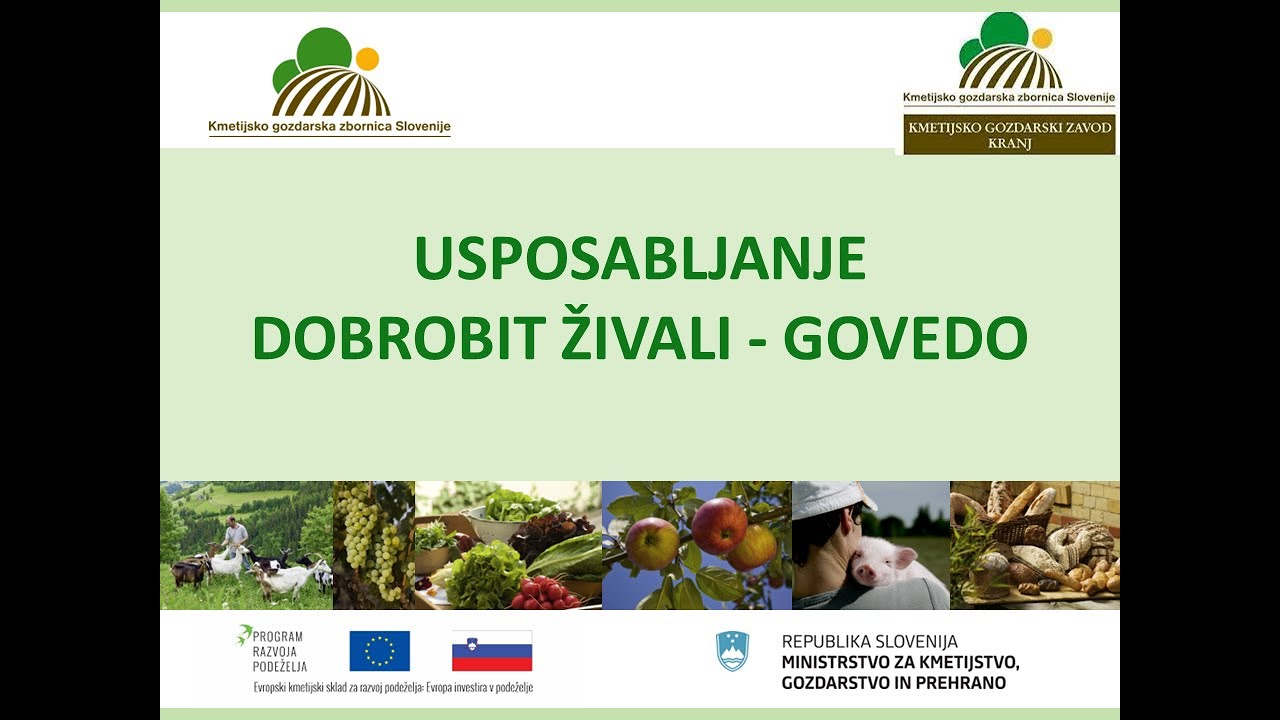 Usposabljanje DOBROBIT ŽIVALI - GOVEDO, 6. 12. 2022; KGZS - Zavod KR ...