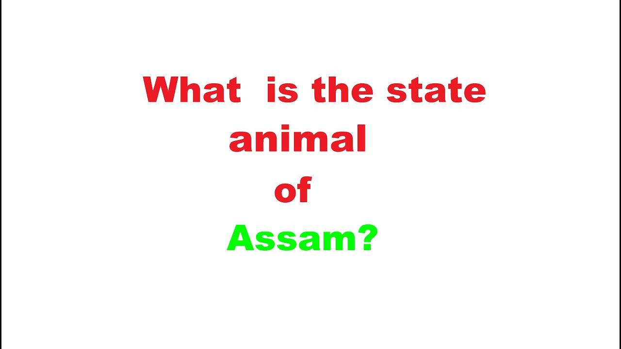 What is the state animal of Assam? - YouTube