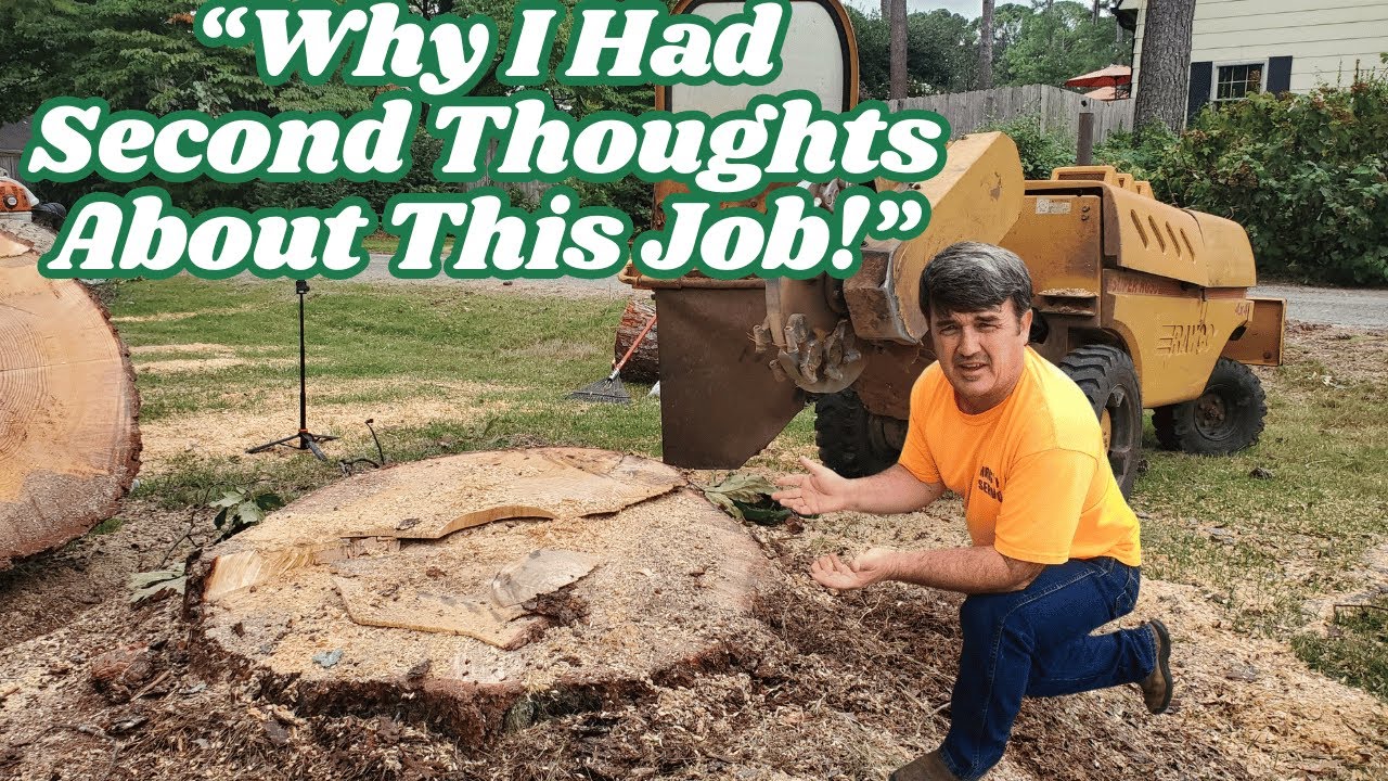 The First Stump Was Easy… But the Second One Caught Me Off Guard! - YouTube
