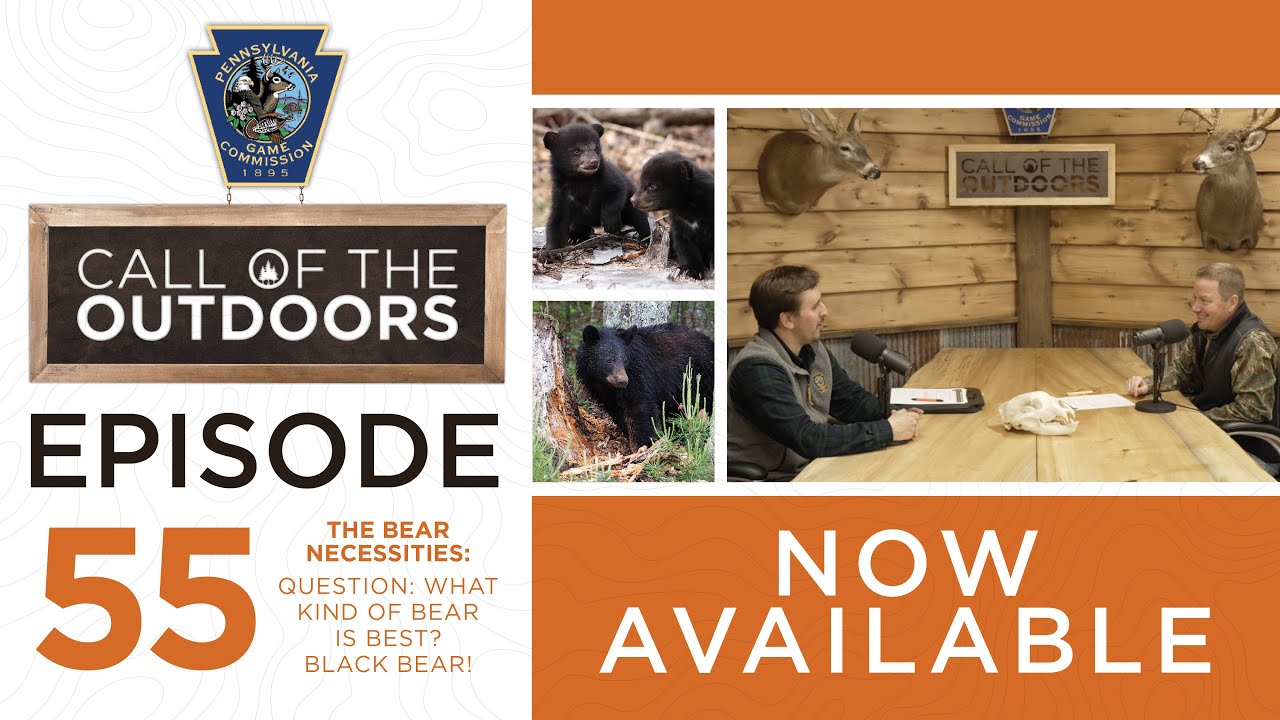 Episode 55: The Bear Necessities - YouTube