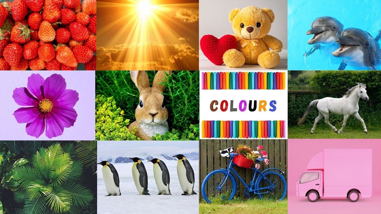 We Love All the Colors! | Red Red Strawberries 🍓| Colors Song for Kids ...