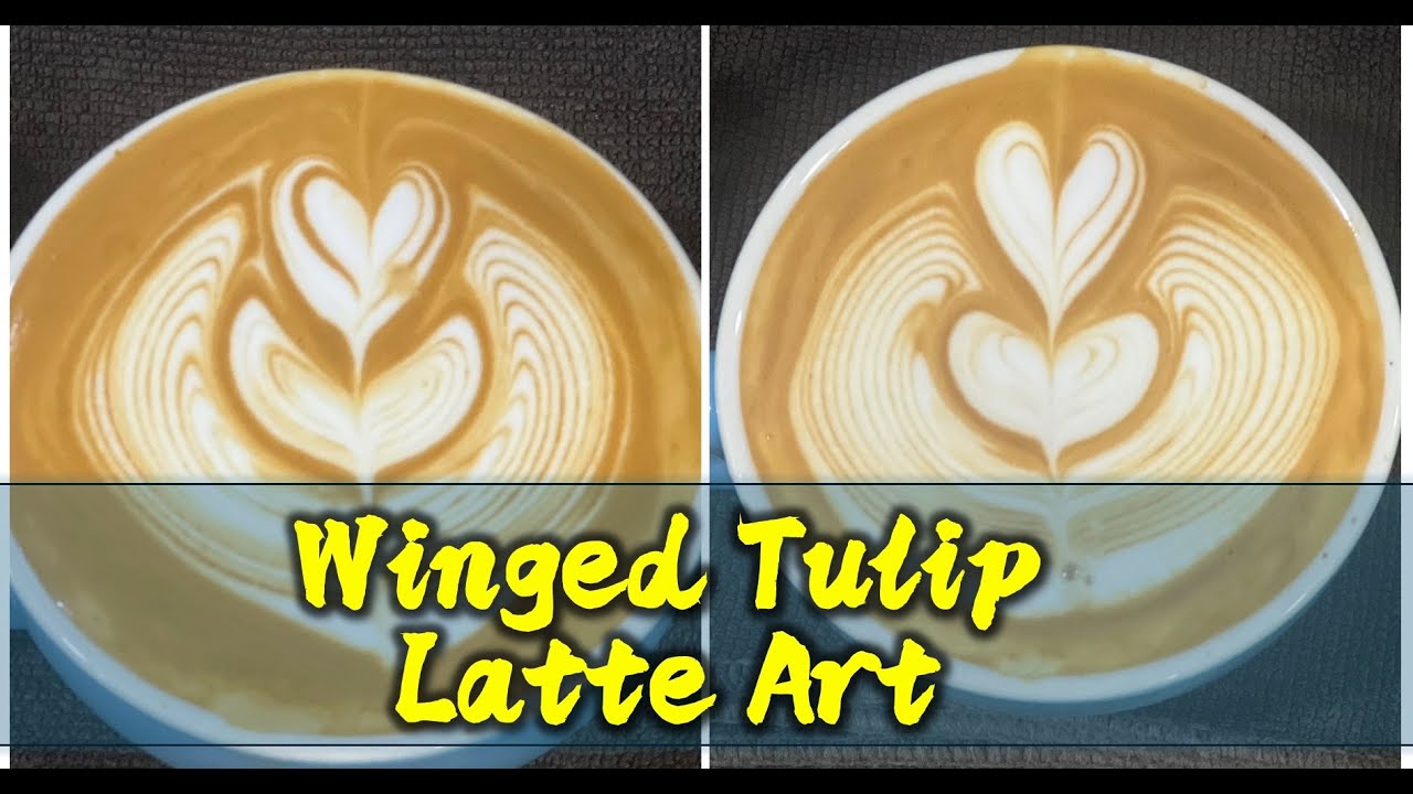Winged Tulip Latte Art 22nd Mar - YouTube