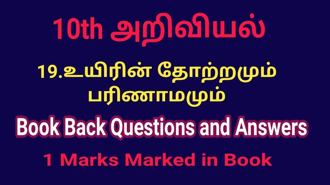 10th Science Book Back Questions And Answers 19 10th-science-book-back-questions-and-answers-19