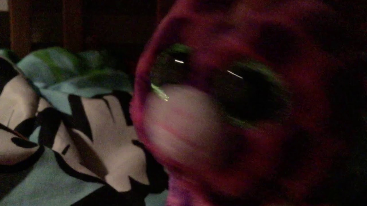 The weird beanie boo music video contest is BACK - YouTube