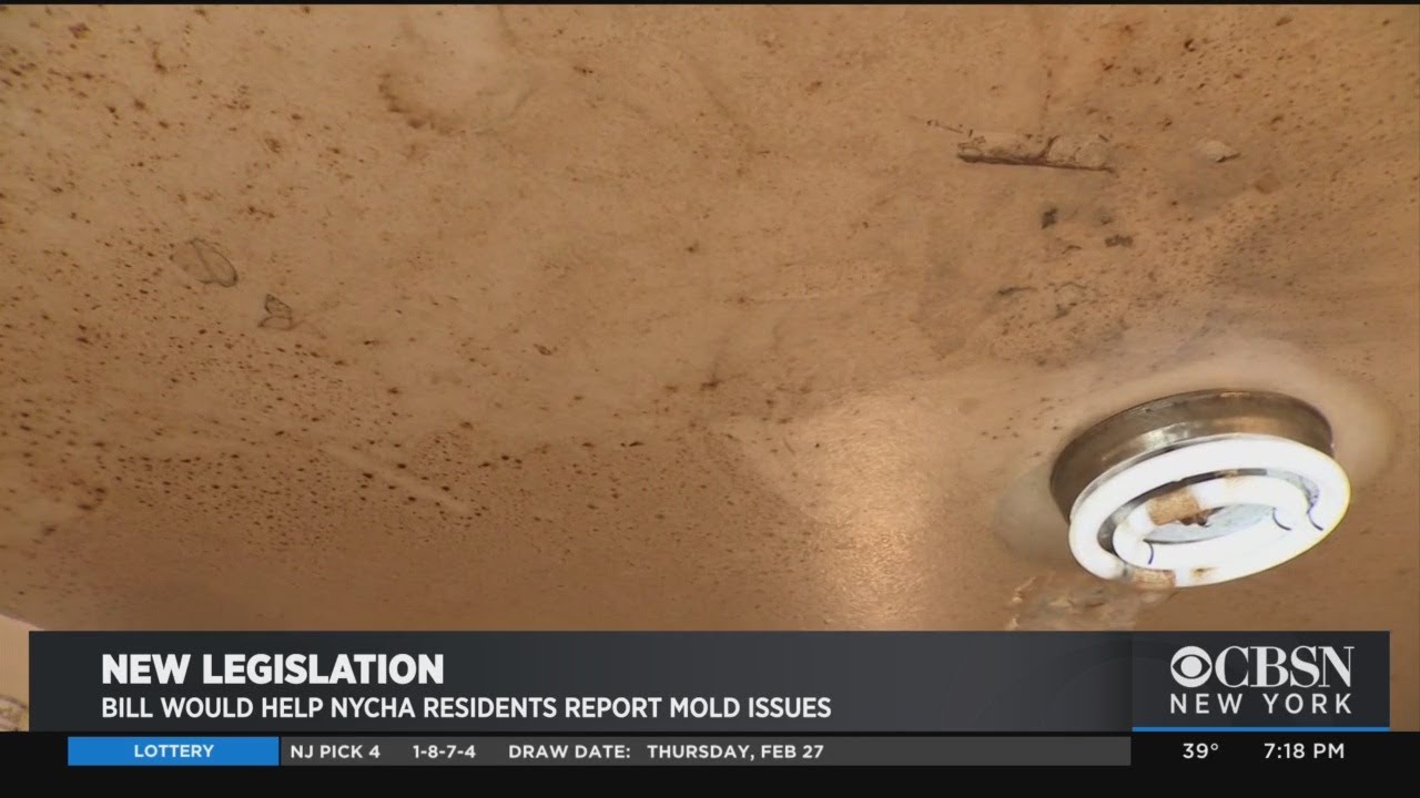Bill Would Help NYCHA Residents Dealing With Mold Issues - YouTube