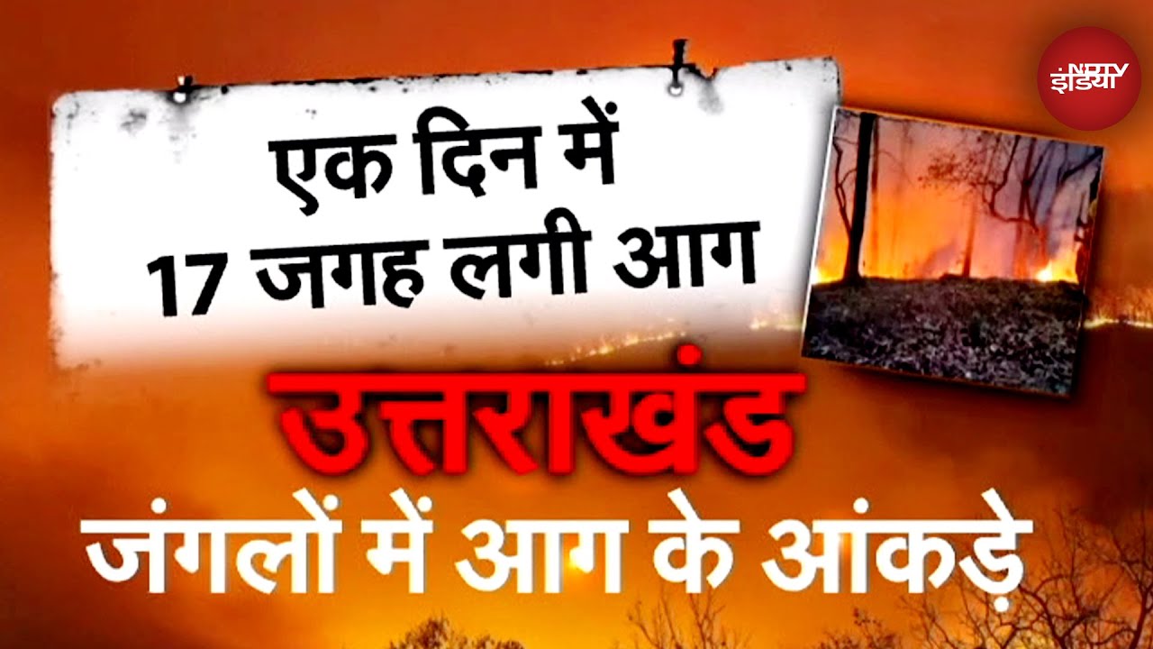 Almora Forest Fire | Uttarakhand के जंगलों में आग का तांडव जारी ...