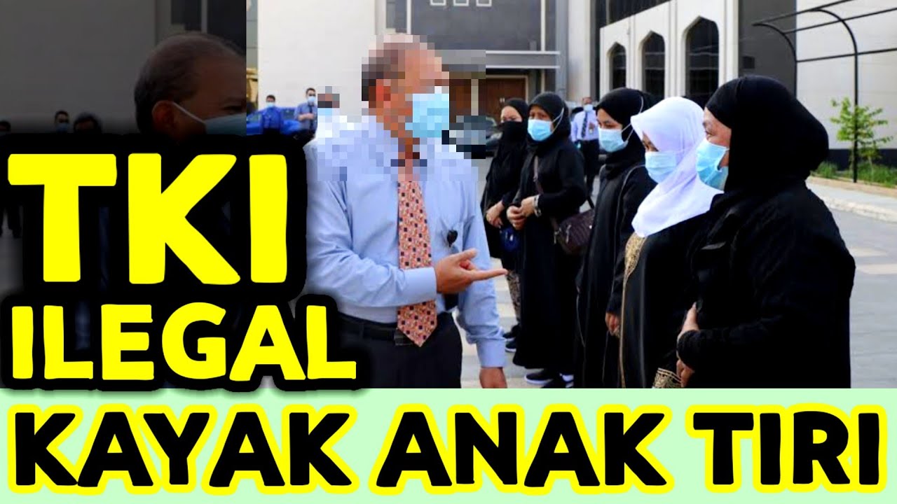 FAKTA PMI/TKI ILEGAL DIBANDING TKI RESMI ,TKI ILEGAL LEBIH BANYAK ...