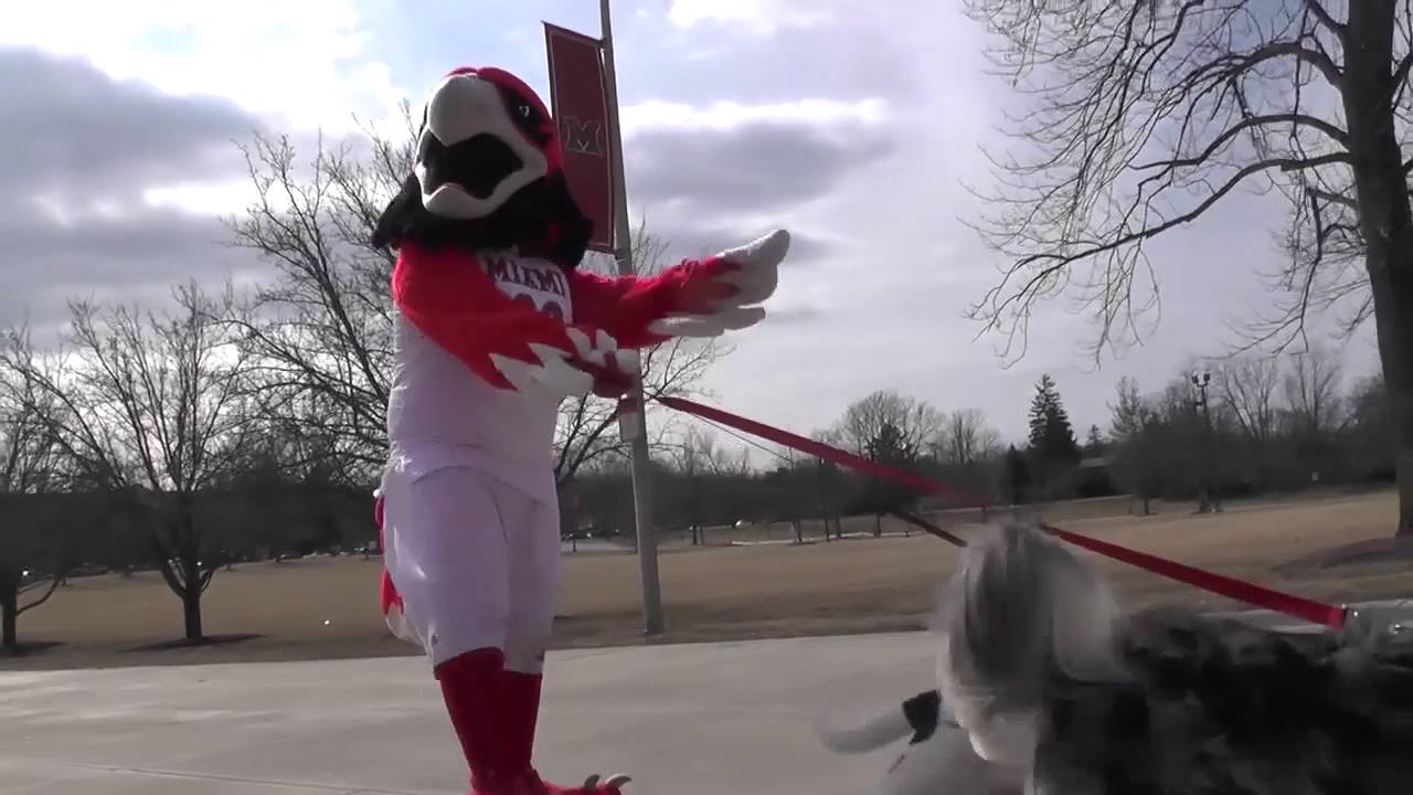 Miami RedHawks - Swoop Paws for a Cause Game - YouTube