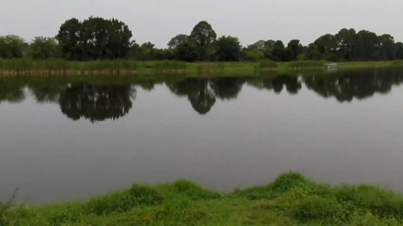 Gator Lake - YouTube