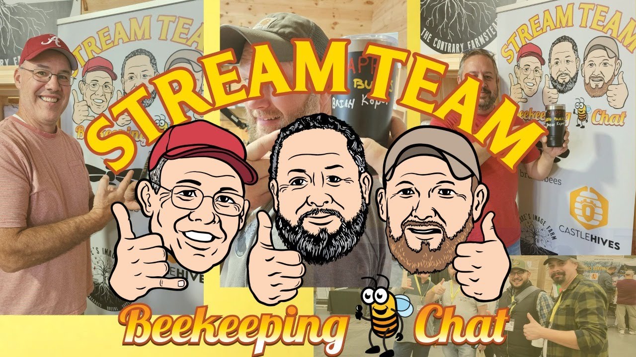 Bee Chat with The StreamTeam | Convergence Recap with Limited Edition ...