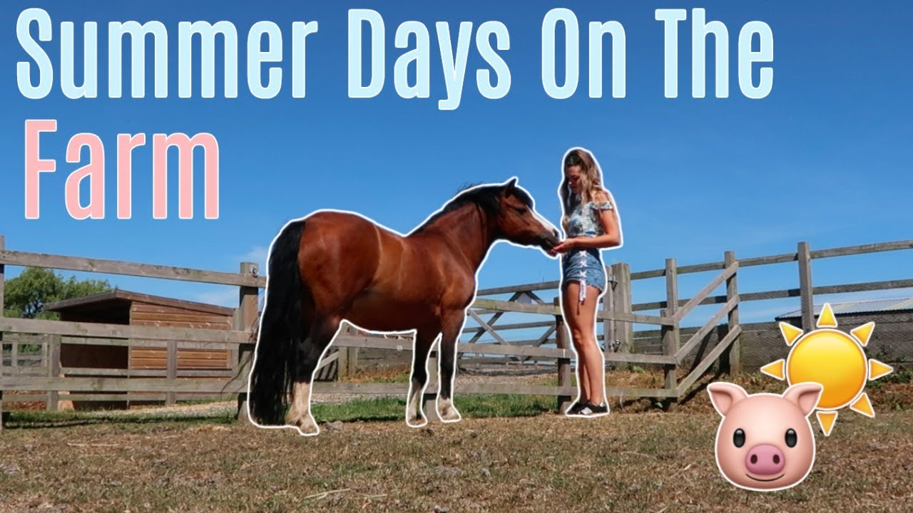 Vlog | Summer Days On The Farm - YouTube