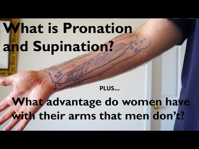 Supination And Pronation Of Hand