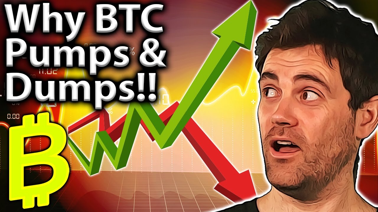 When Will Bitcoin Pump or Dump?! Watch THESE!! 💯 - YouTube