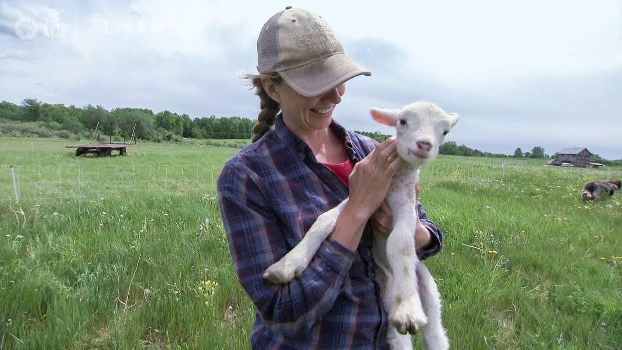 Meet Minnesota's Female Farmers - YouTube