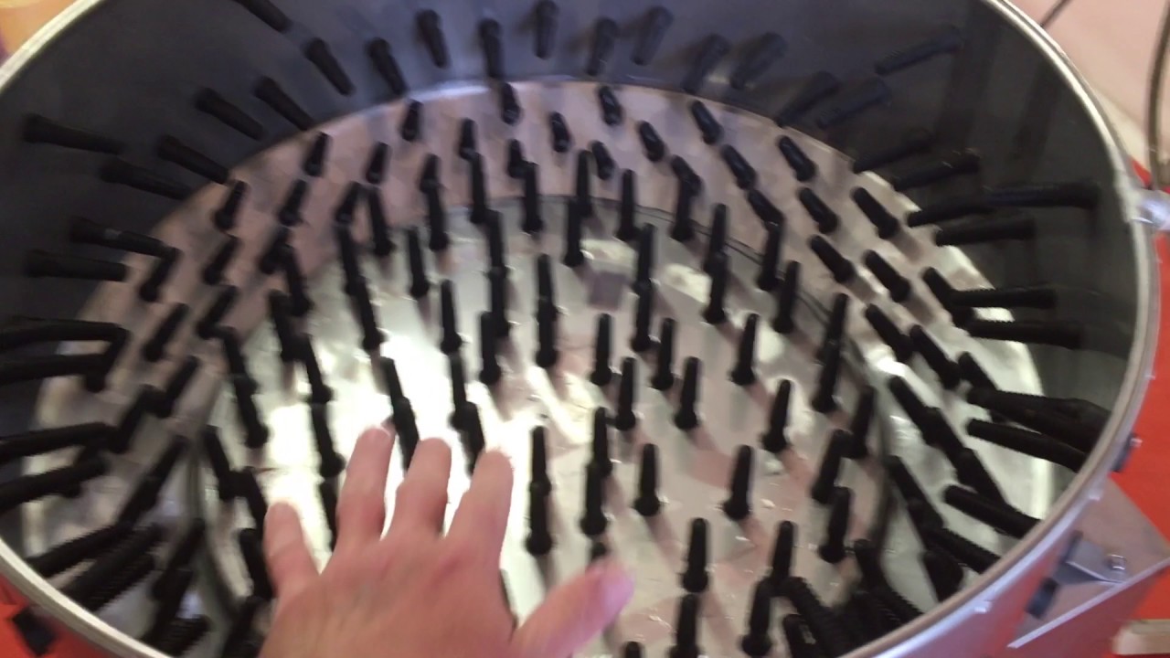 S4 E41 Processing old Layer hens today - YouTube