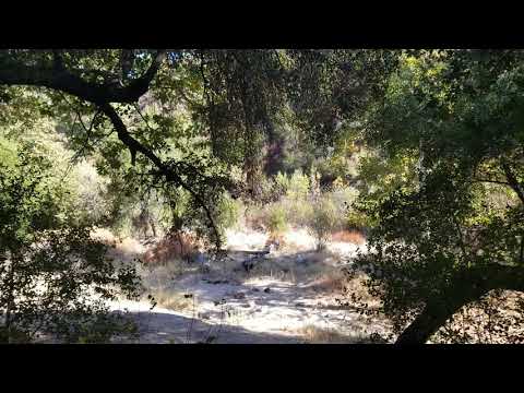 Peaceful Spot - YouTube