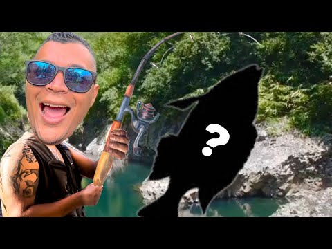 A CAUSE DE CE POISSON MA CANNE A PÊCHE CASSE, CATCH AND COOK AU BORD D ...