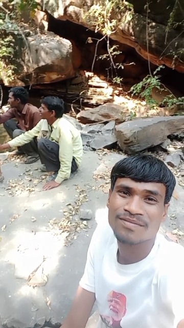 🌵🌵🪵Jungle ki kit nashak dava 🪵🌳🌴🌵🏞️। Kitnashak dava | Kitnashak dava ...