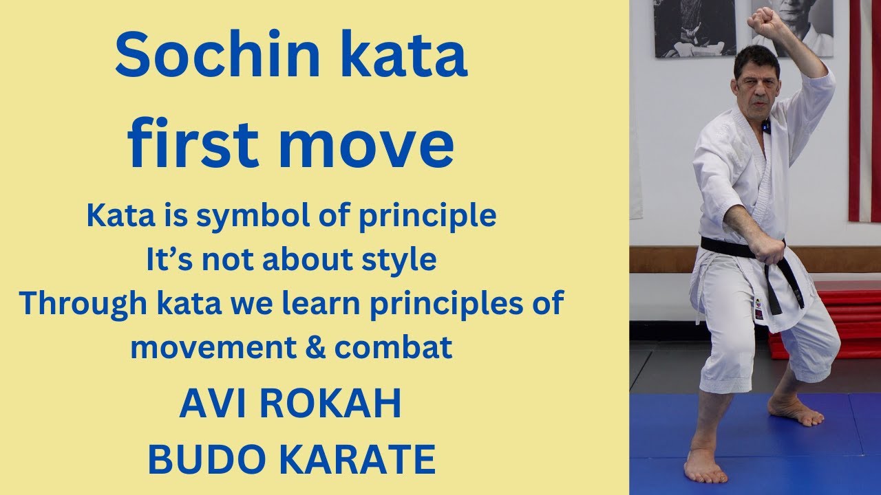 Sochin first move - kata as symbol of principle - YouTube